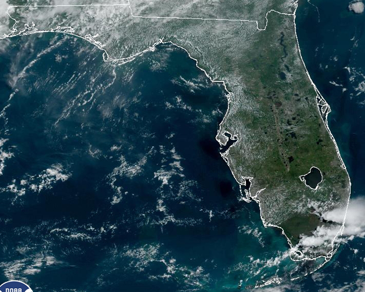 Bad Florida Bad Florida Bad Florida News - News and comments from Florida